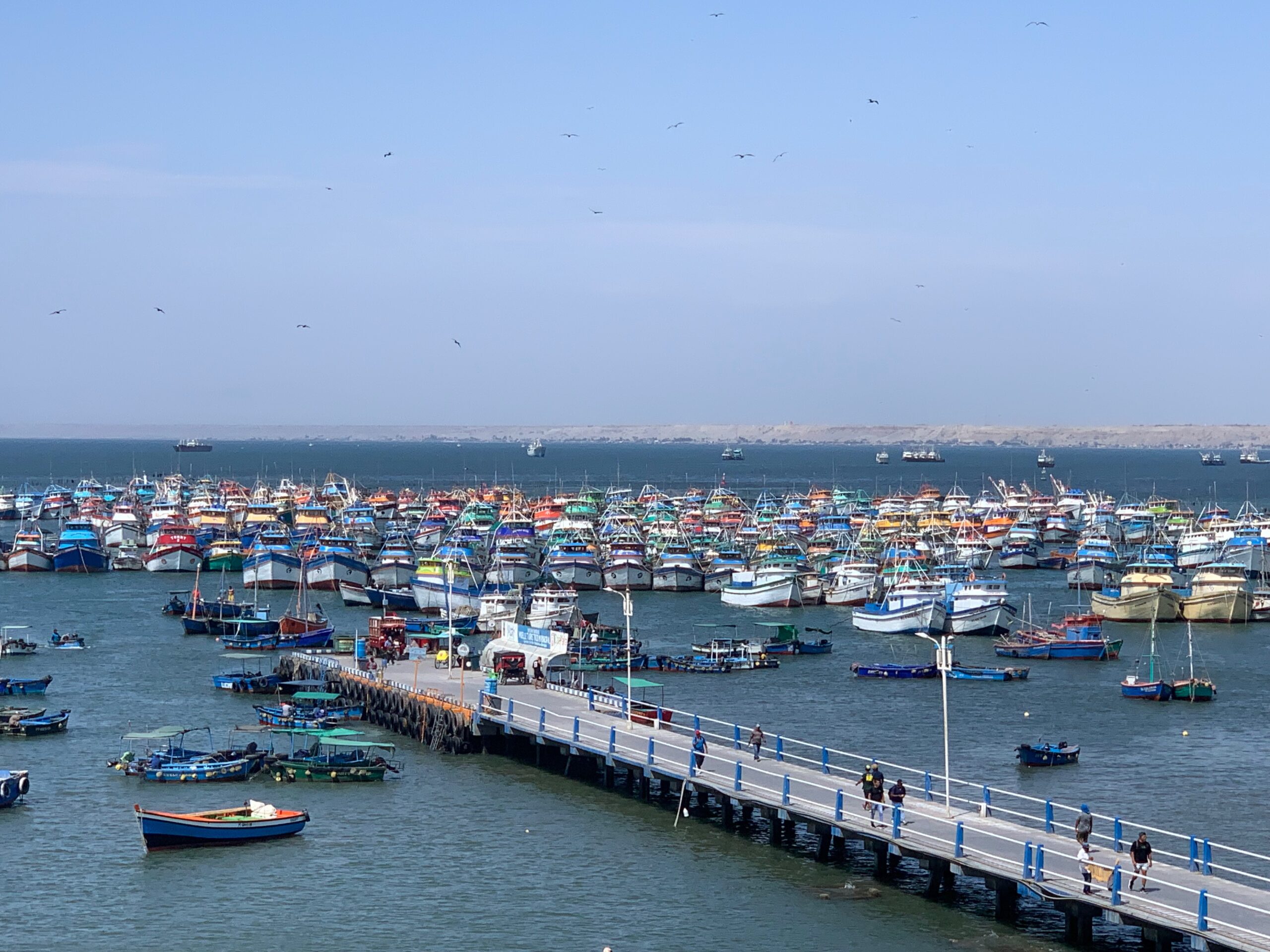 Faded elegance of old whaling port that still lands big catches - Tip2Top